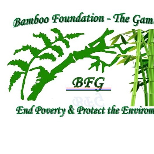 Bamboo Foundation - The Gambia (BFG) | Climate Connect