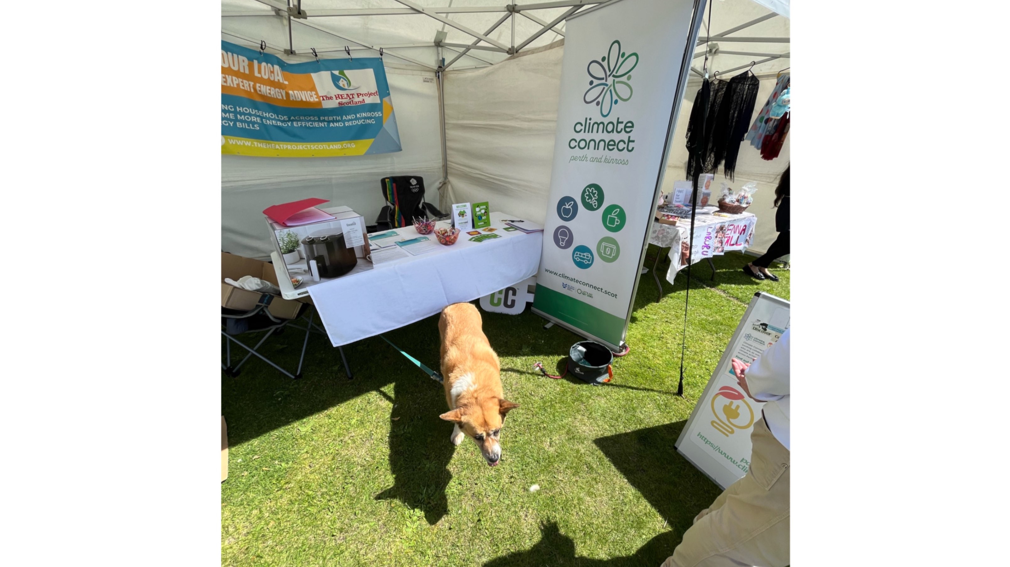 Climate Connect Perth & Kinross - Mela Festival | Climate Connect