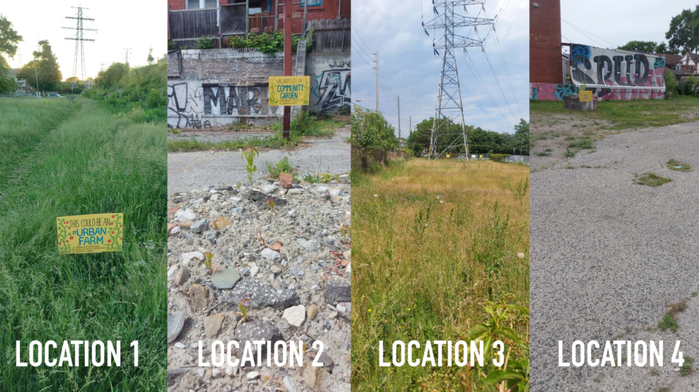 Promoting Awareness of Urban Farming in Unused Spaces | Climate Connect