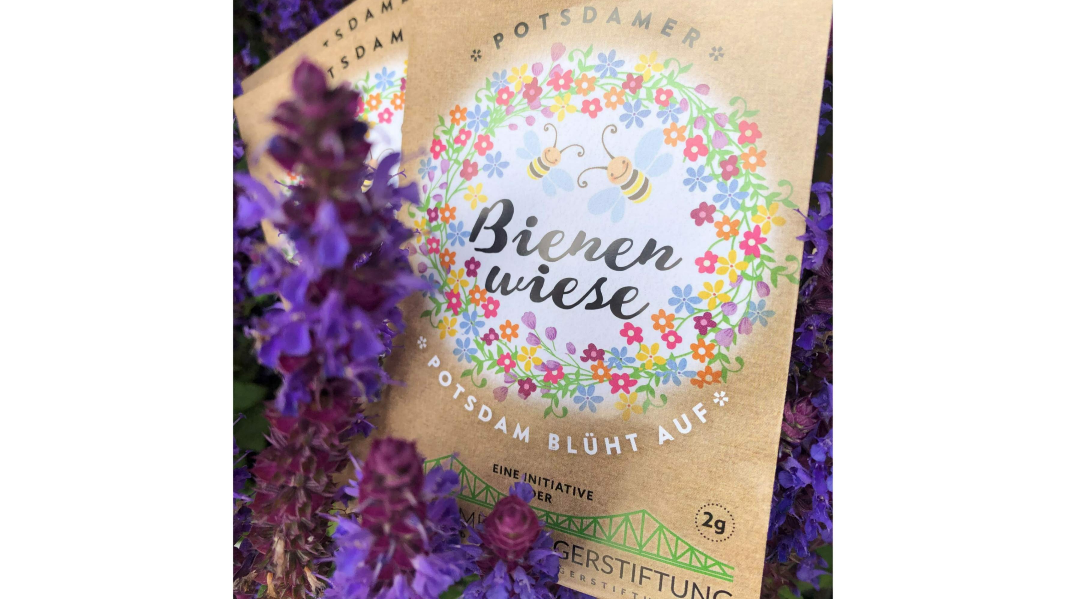 Bee meadow | Climate Connect