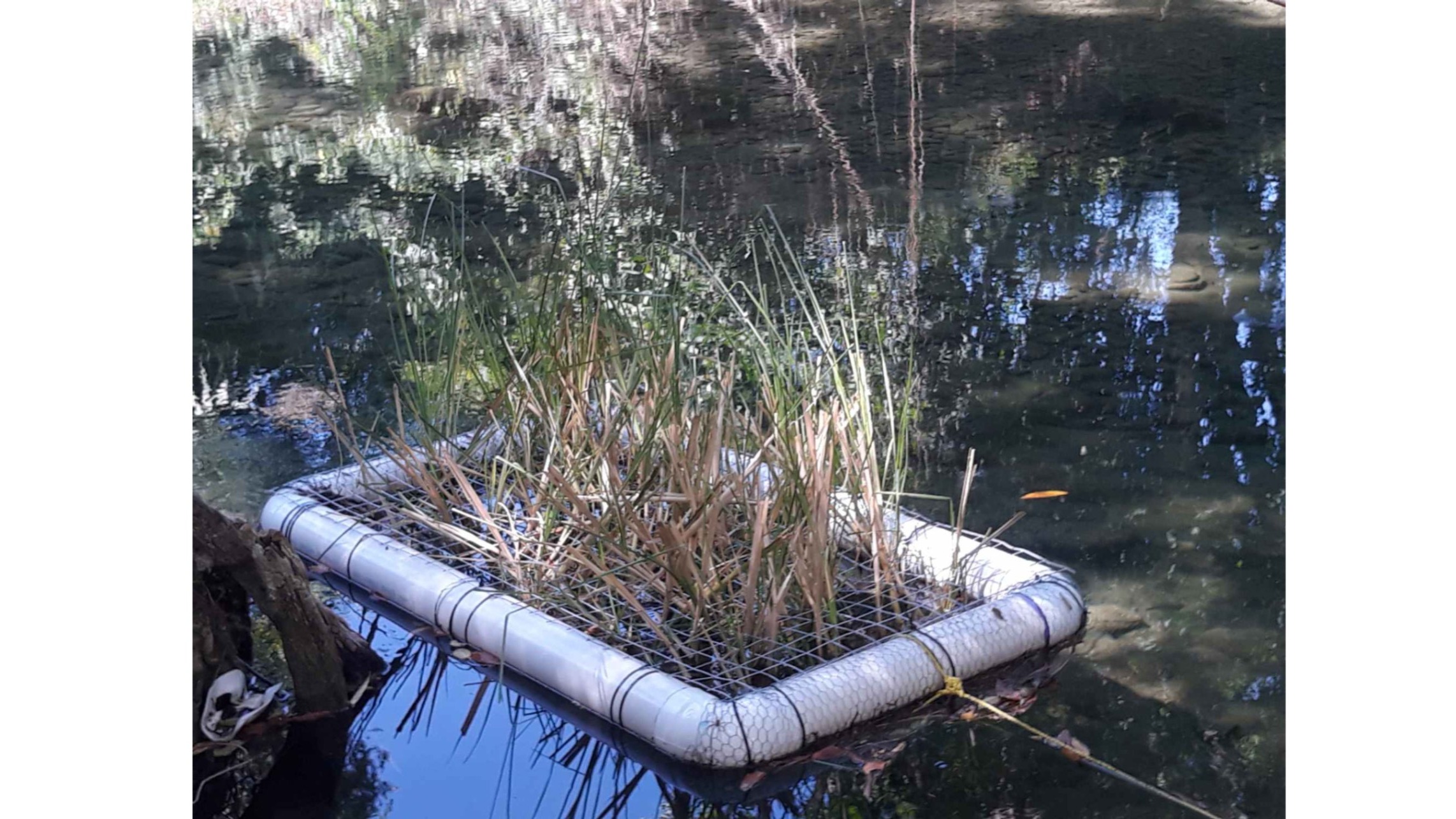 Bringing a watershed back to life the natural way | Climate Connect